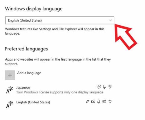 Single Language版のWindowsは言語変更出来ない | ニビキツネ