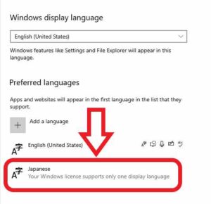 Single Language版のWindowsは言語変更出来ない | ニビキツネ